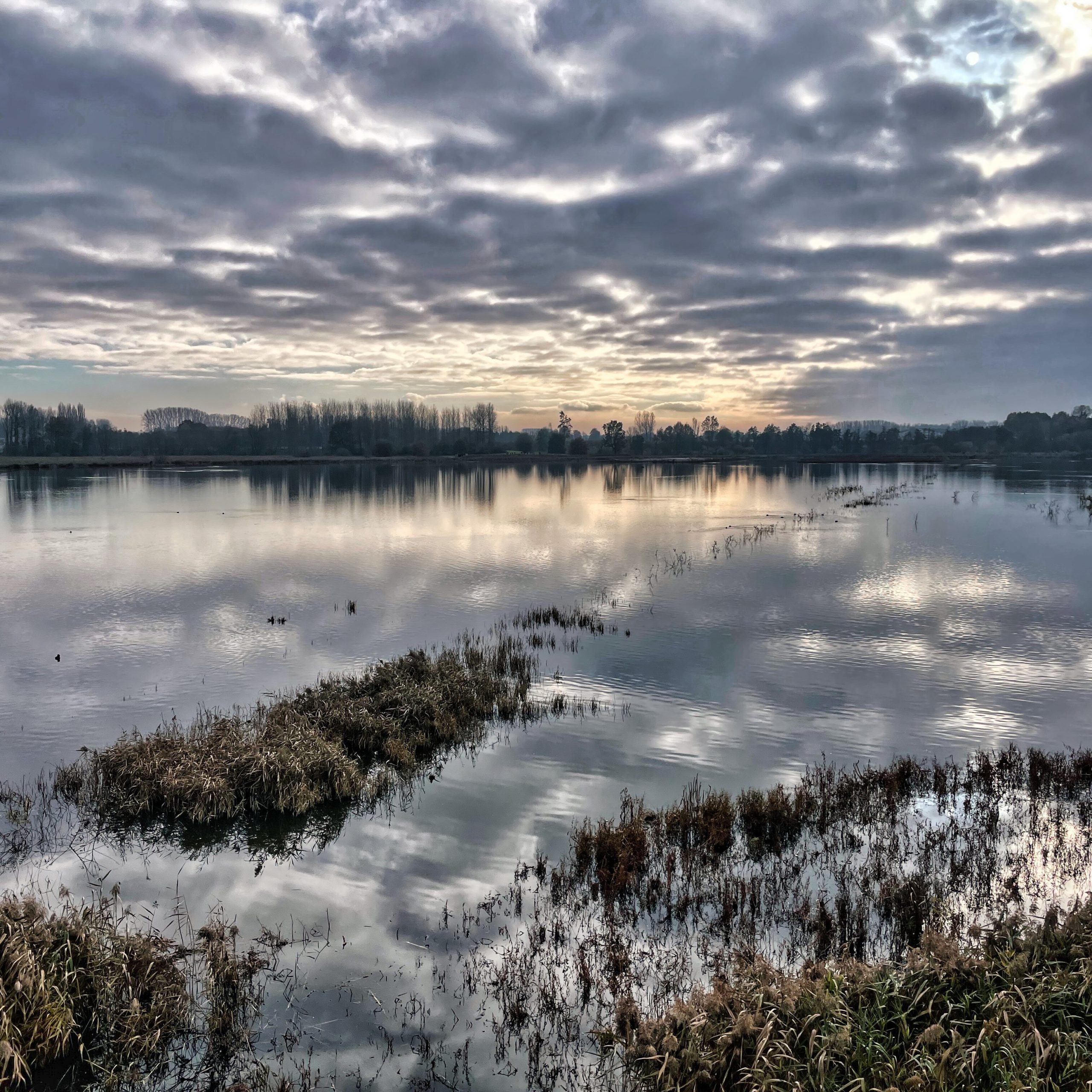 Balade dans le domaine de Het Vinne - vanlife voyages