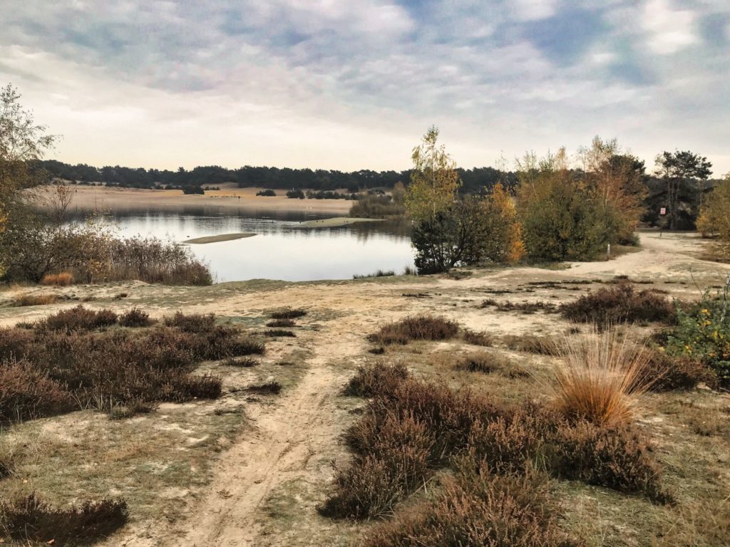 Le Sahara de Lommel - vanlife voyages